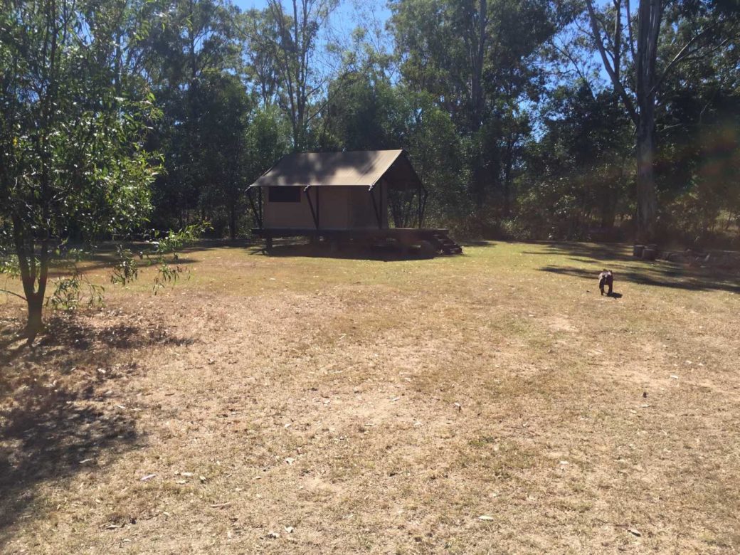 New Camping Ground: Hangar O - Camps Australia Wide