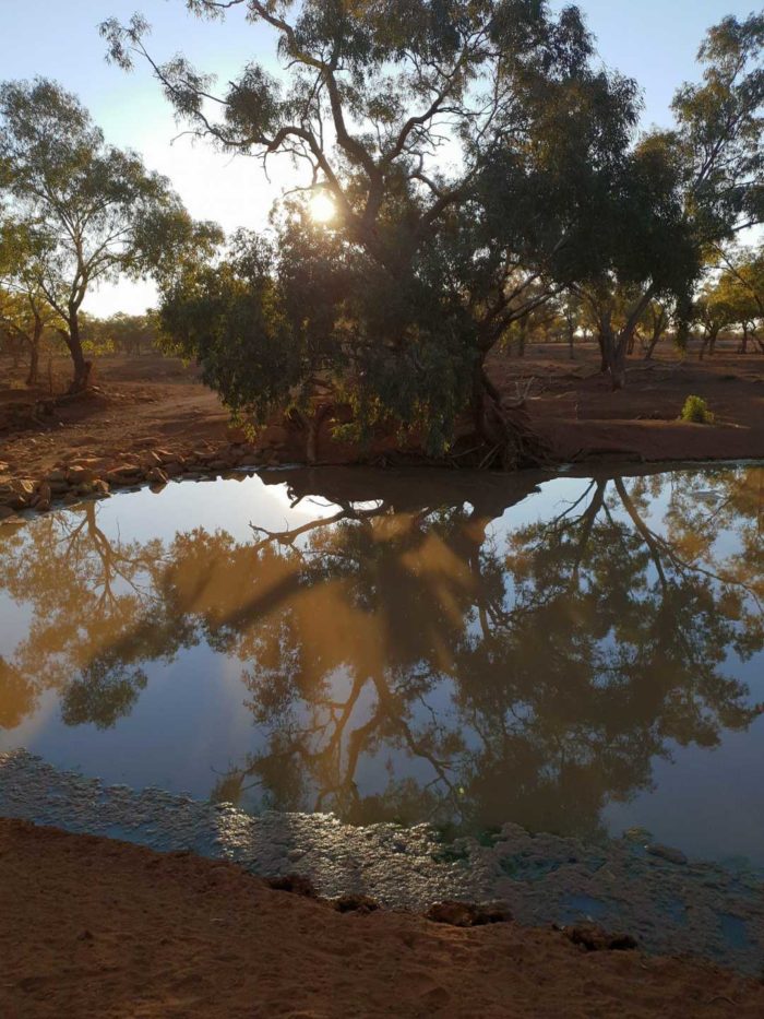 Traveller Review: Alroy Station QLD - Camps Australia Wide