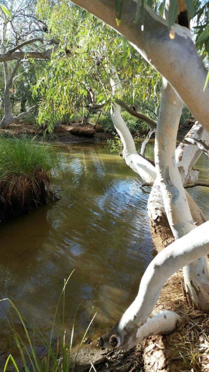 Traveller Review: Alroy Station QLD - Camps Australia Wide