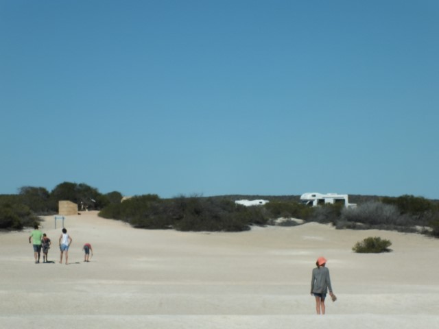 Why visit Shark Bay, Western Australia? - Camps Australia Wide