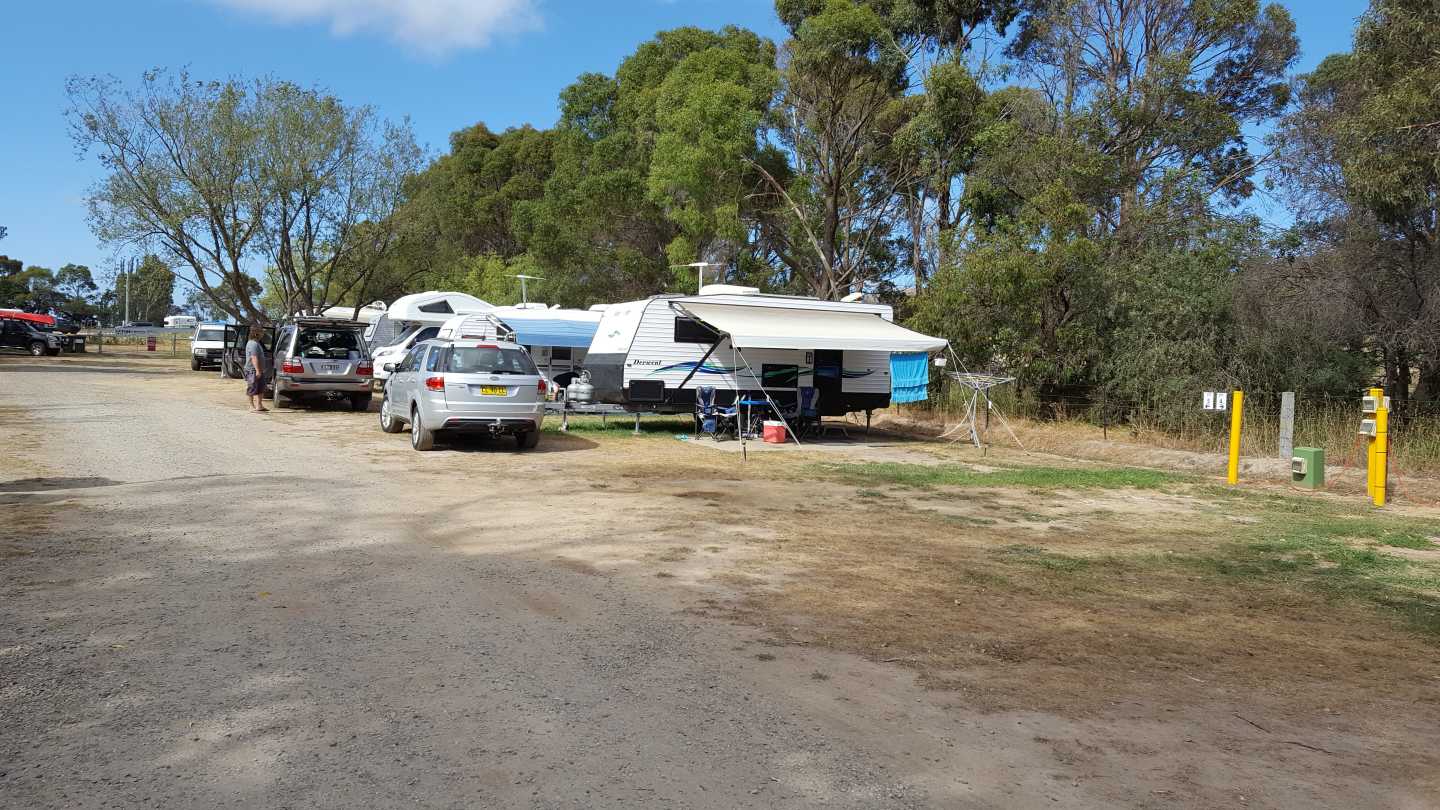 Scones, jam and cream at Bungendore Showground - Camps Australia Wide