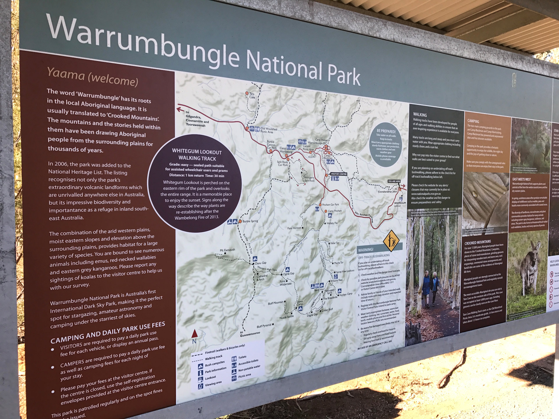 Drive through the Warrumbungles, New South Wales - Camps Australia Wide