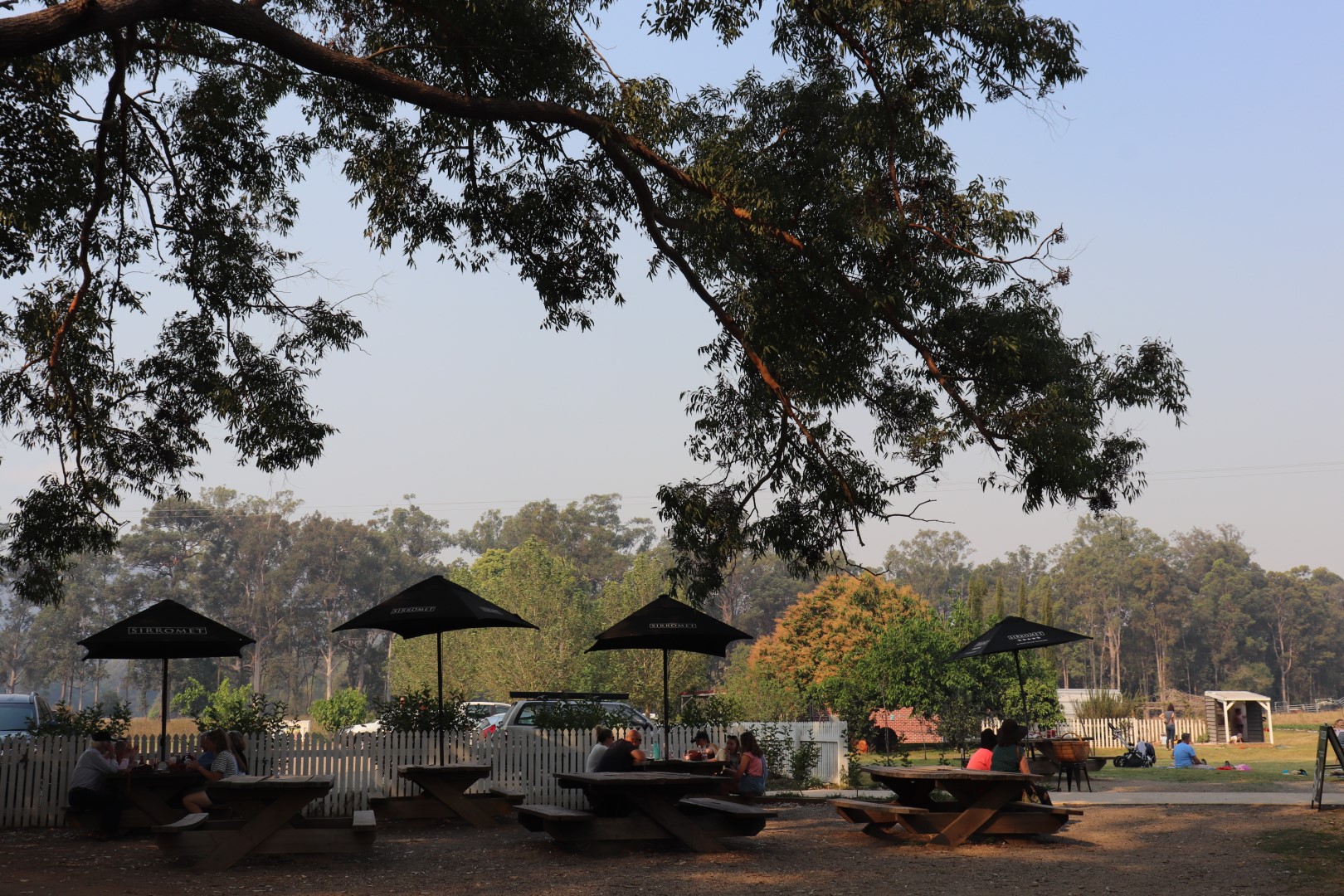 Days Out: Cooloola Berries - Camps Australia Wide