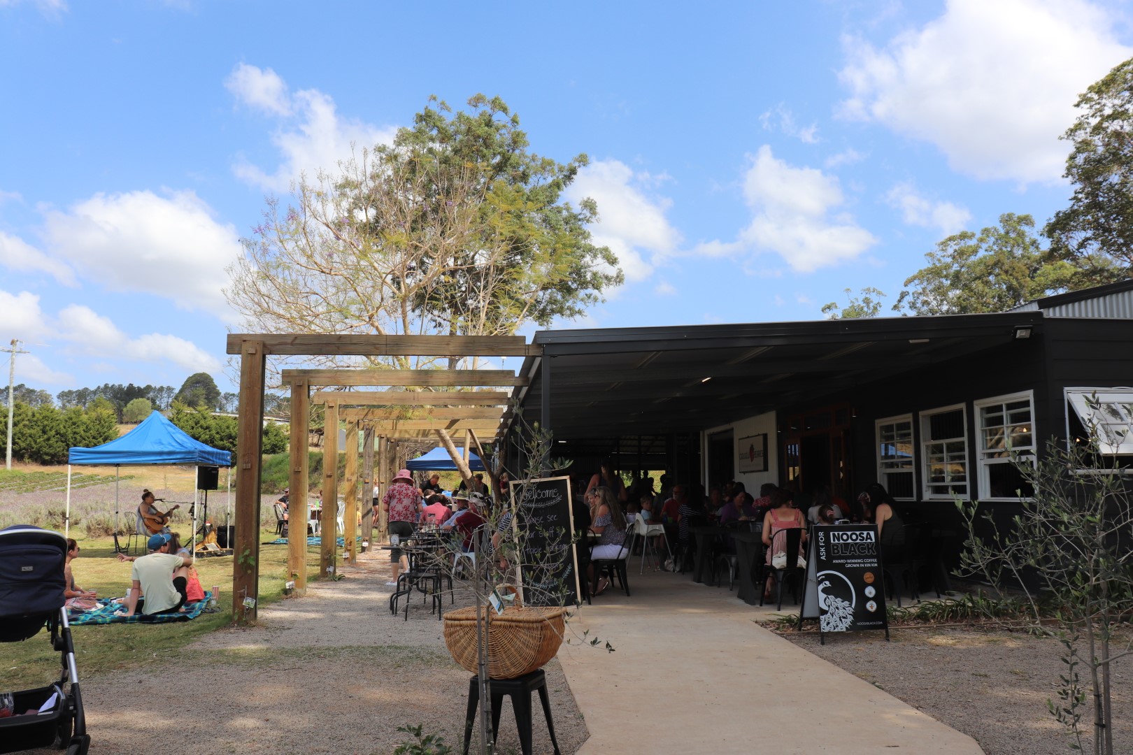 Days Out: Cooloola Berries - Camps Australia Wide