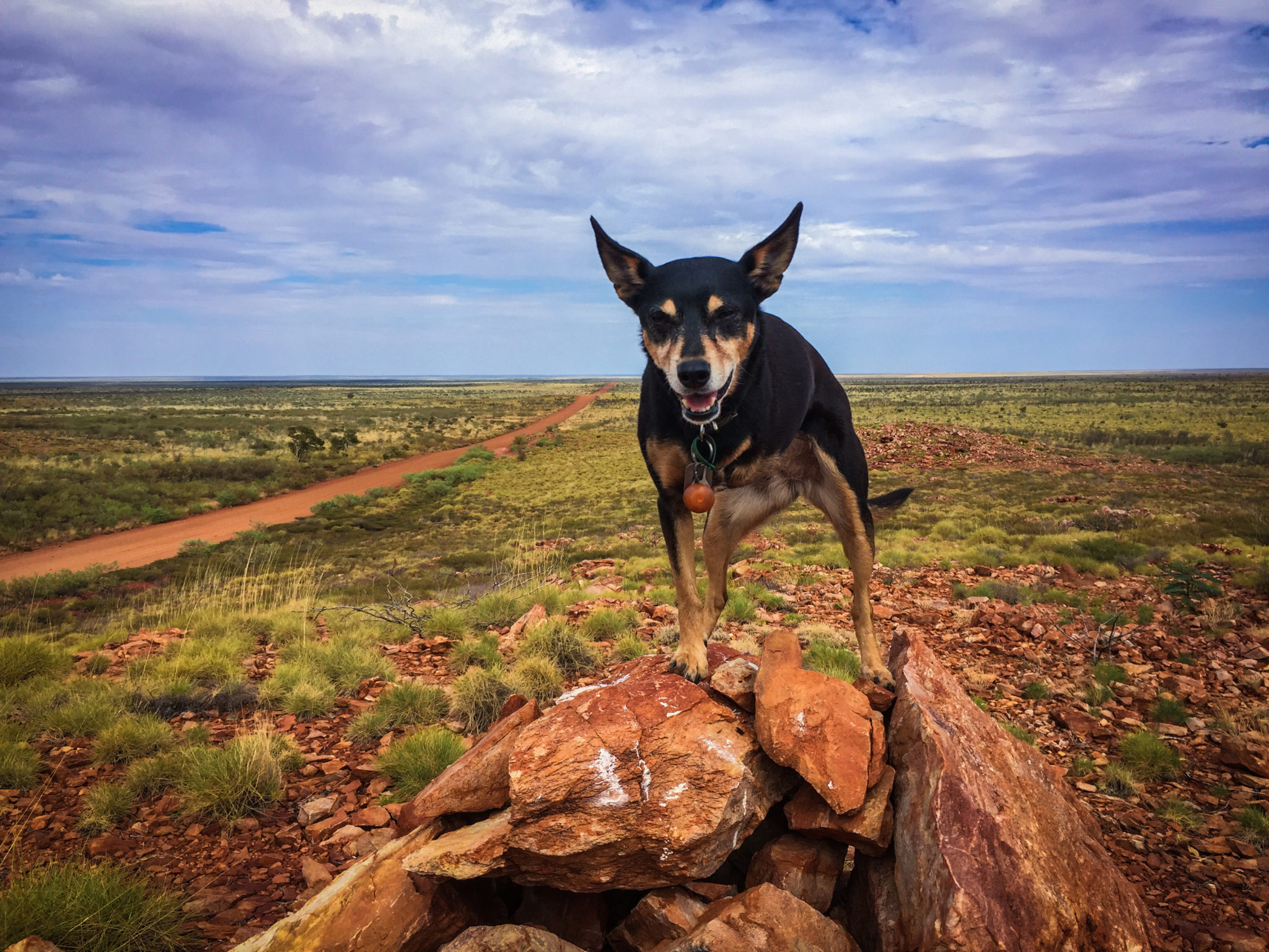 Did you know the Tanami Track, Northern Territory will be sealed ...