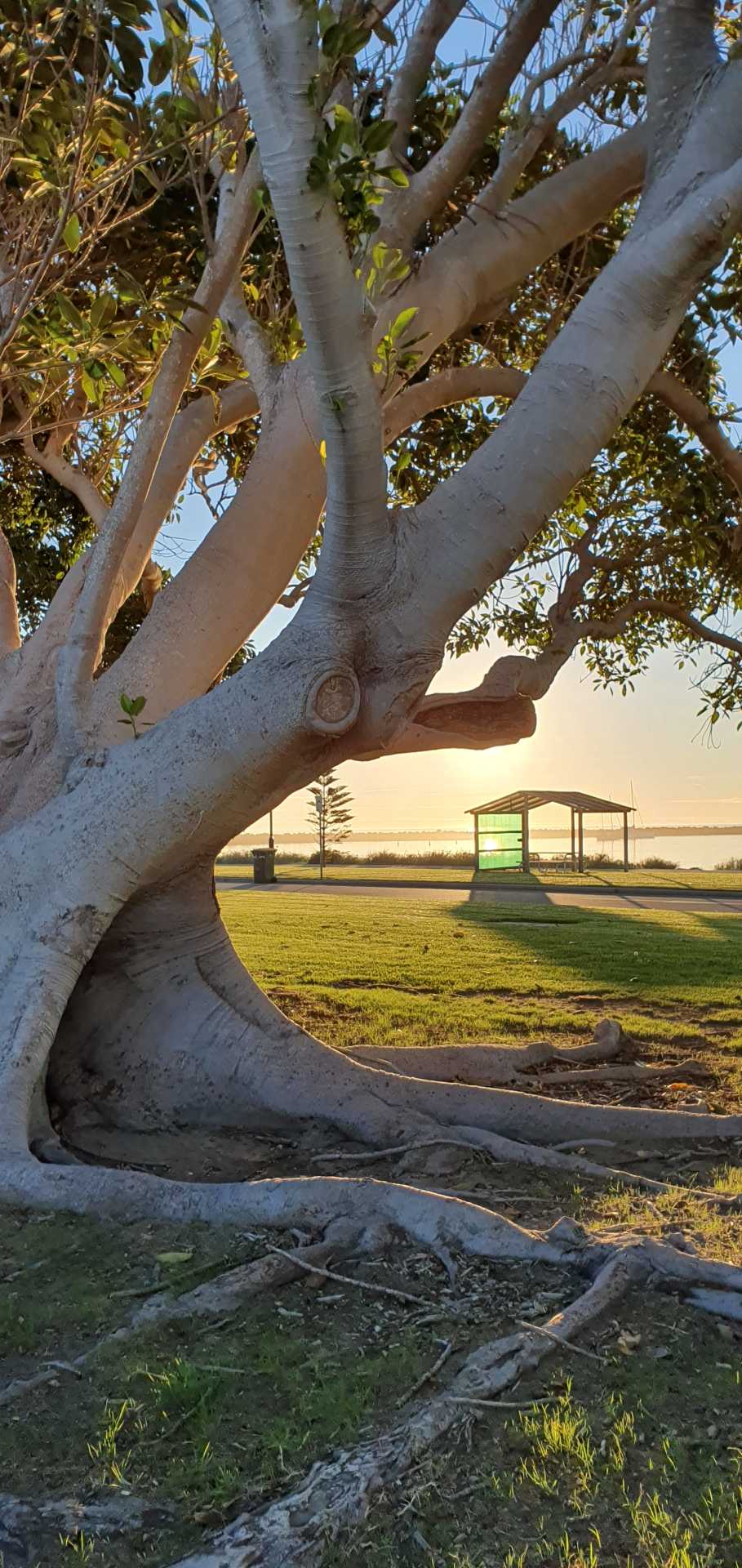 Your town: Dongara Denison, Western Australia - Camps Australia Wide