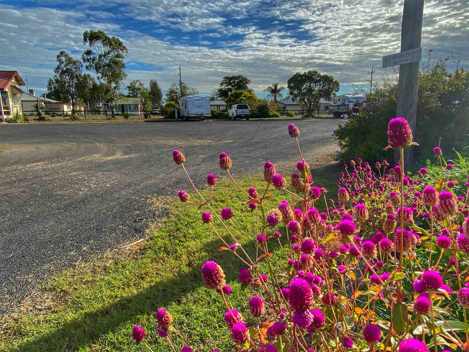 Favourite pet-friendly campground: Yelarbon Rec Ground, Queensland ...