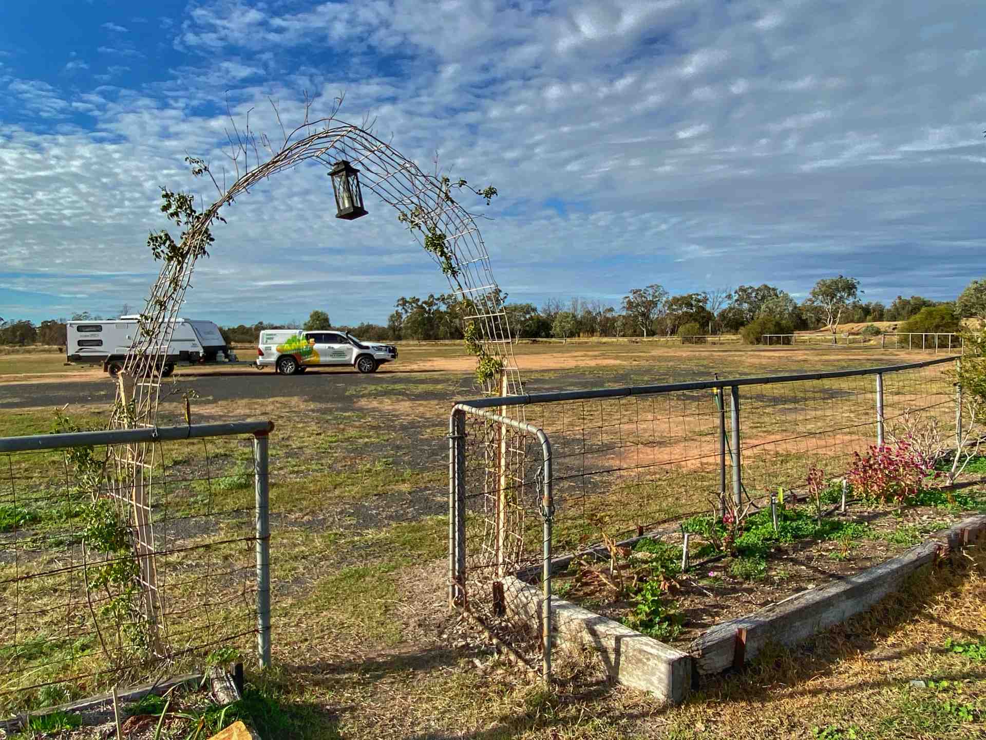 Favourite pet-friendly campground: Yelarbon Rec Ground, Queensland ...