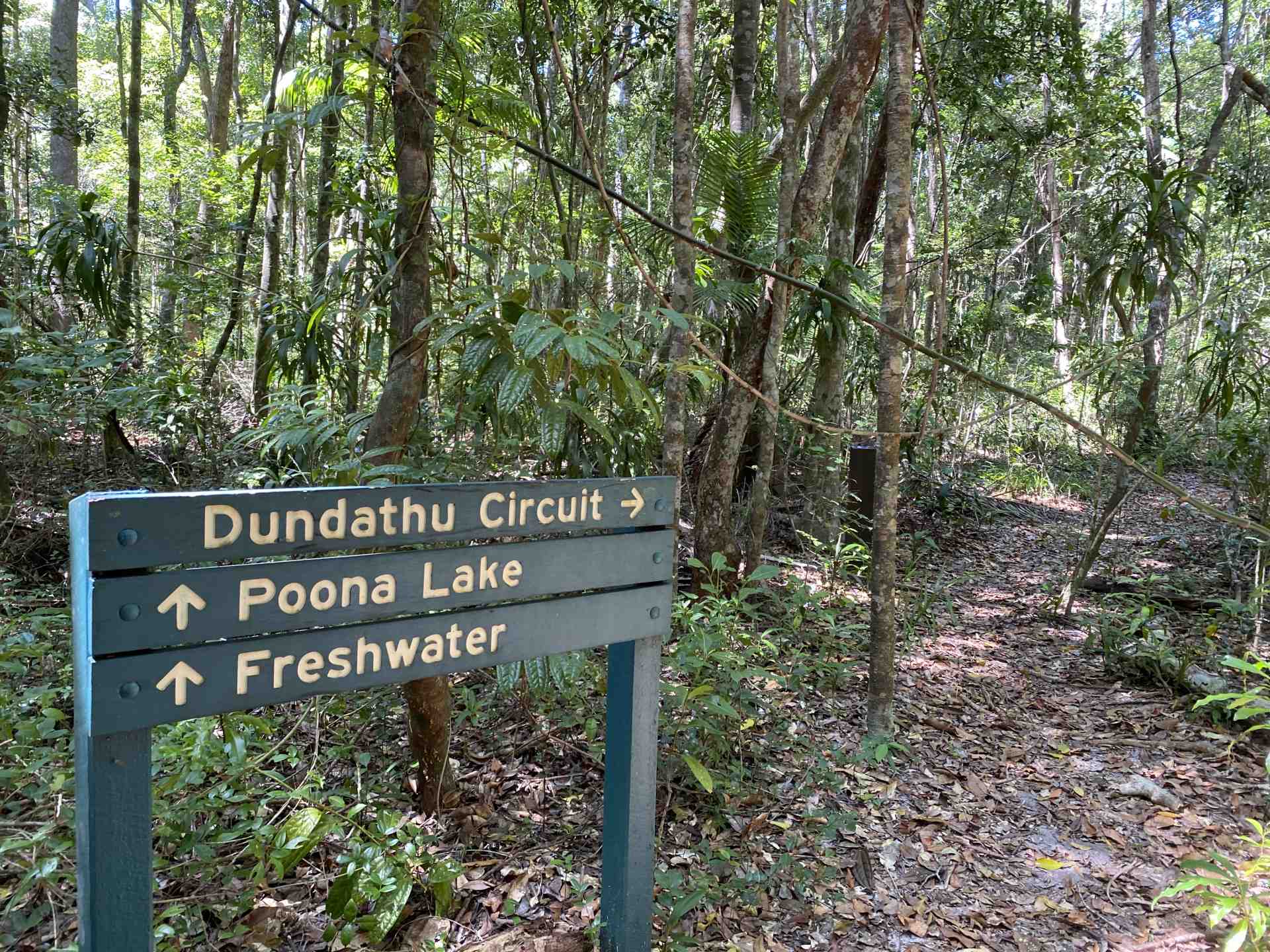 Poona Lake is a hidden wonder in Rainbow Beach, Queensland - Camps ...