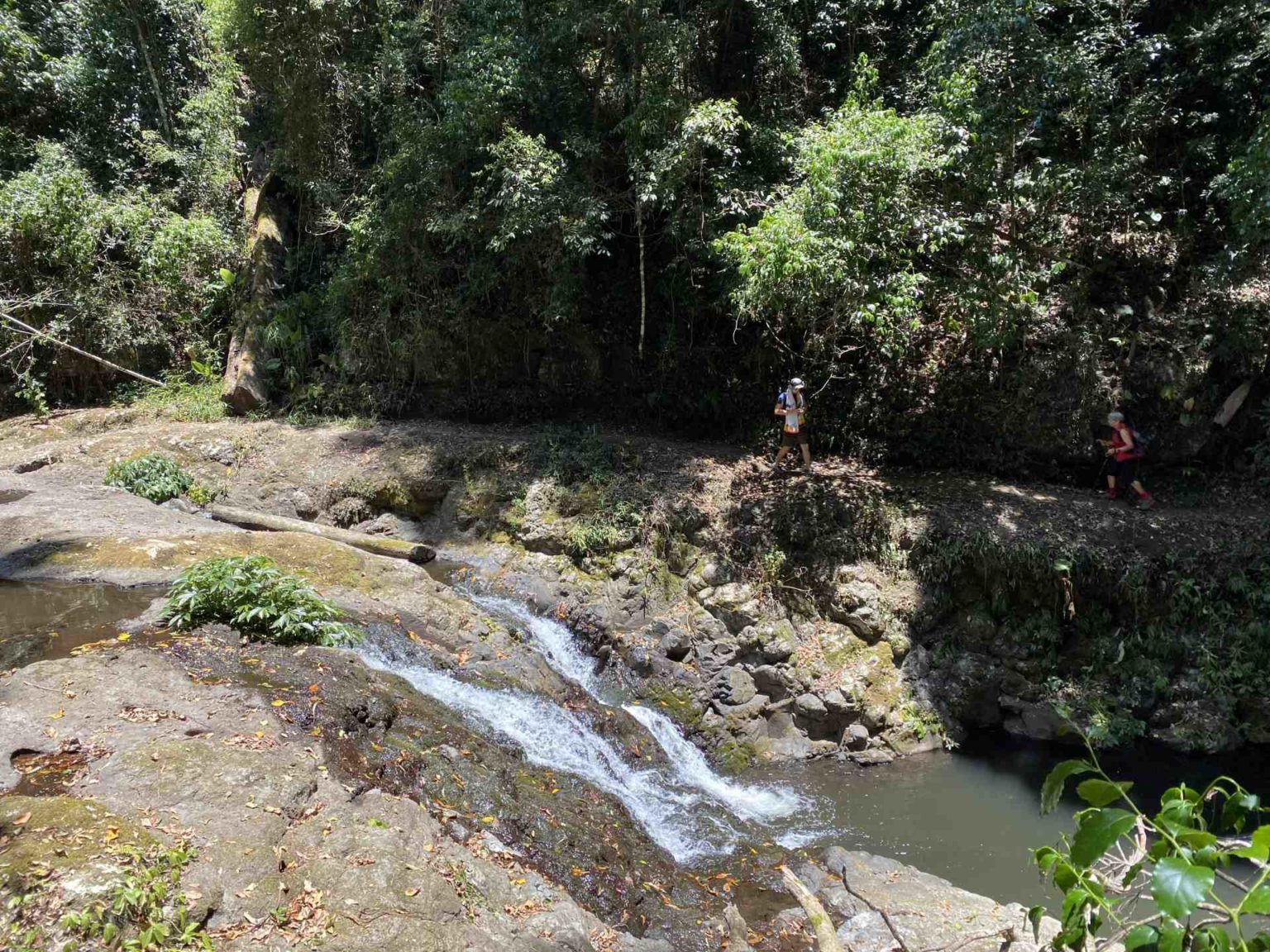 Waterfalls on the Box Forest Circuit, O'Reillys, Queensland - Camps ...