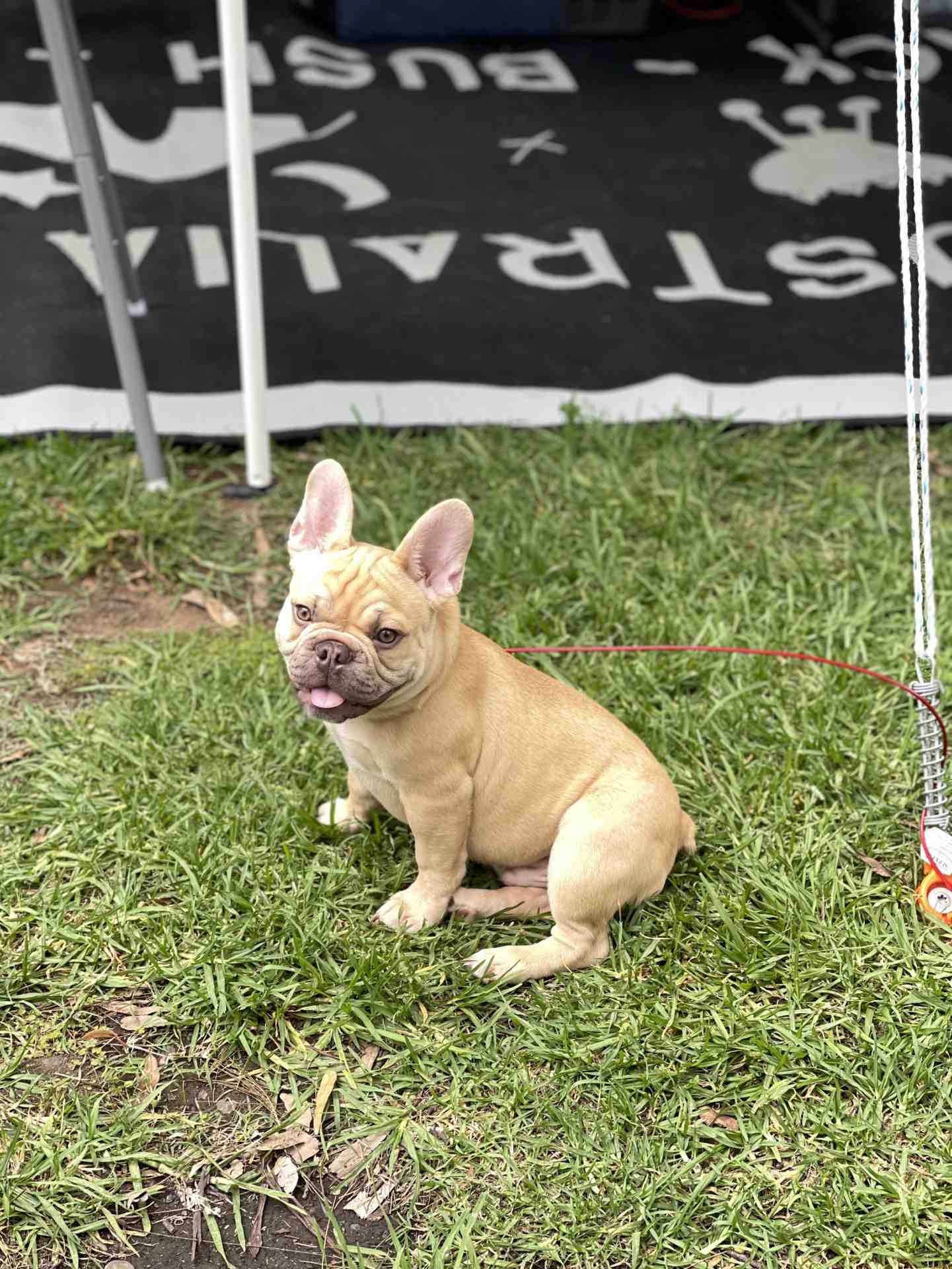 Experience Gordon Country, Goomburra, Queensland - Camps Australia Wide