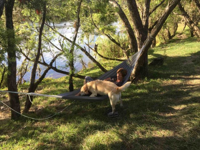 Free and pet friendly: Cangai Bridge at Jackadgery, New South Wales ...