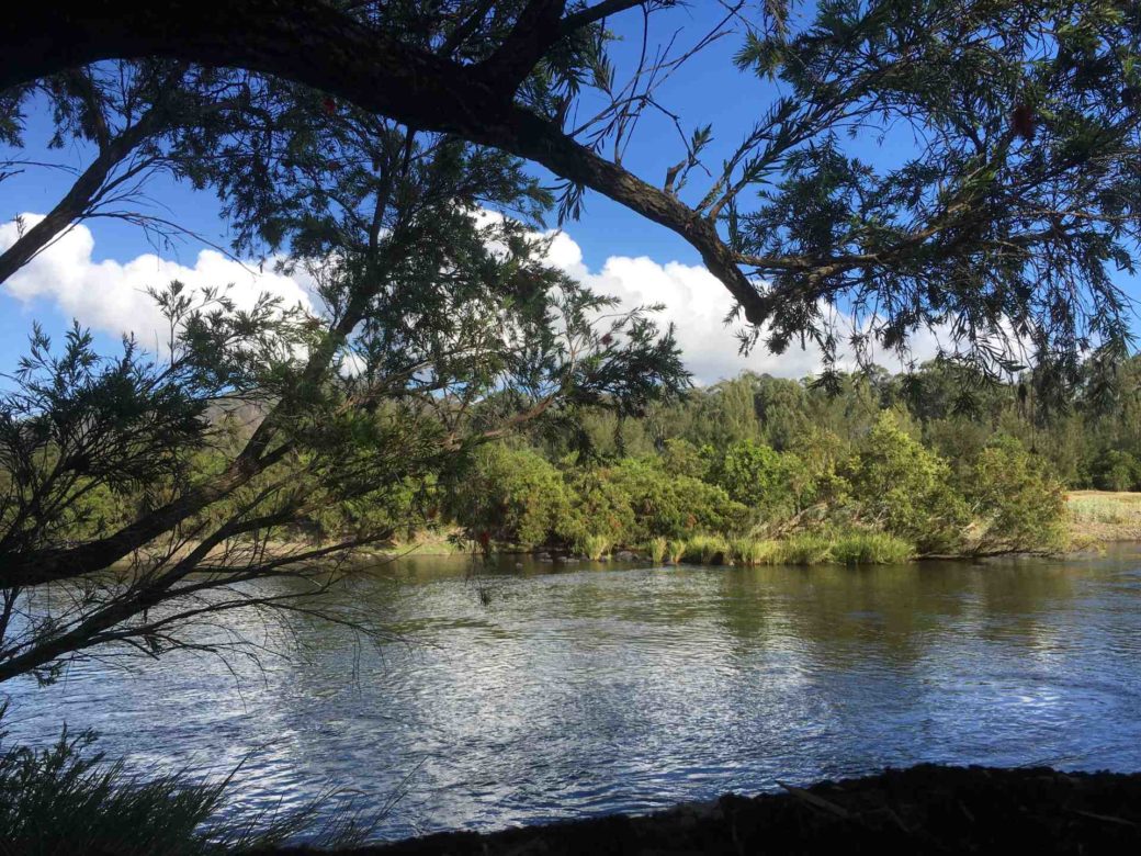 Free and pet friendly: Cangai Bridge at Jackadgery, New South Wales ...