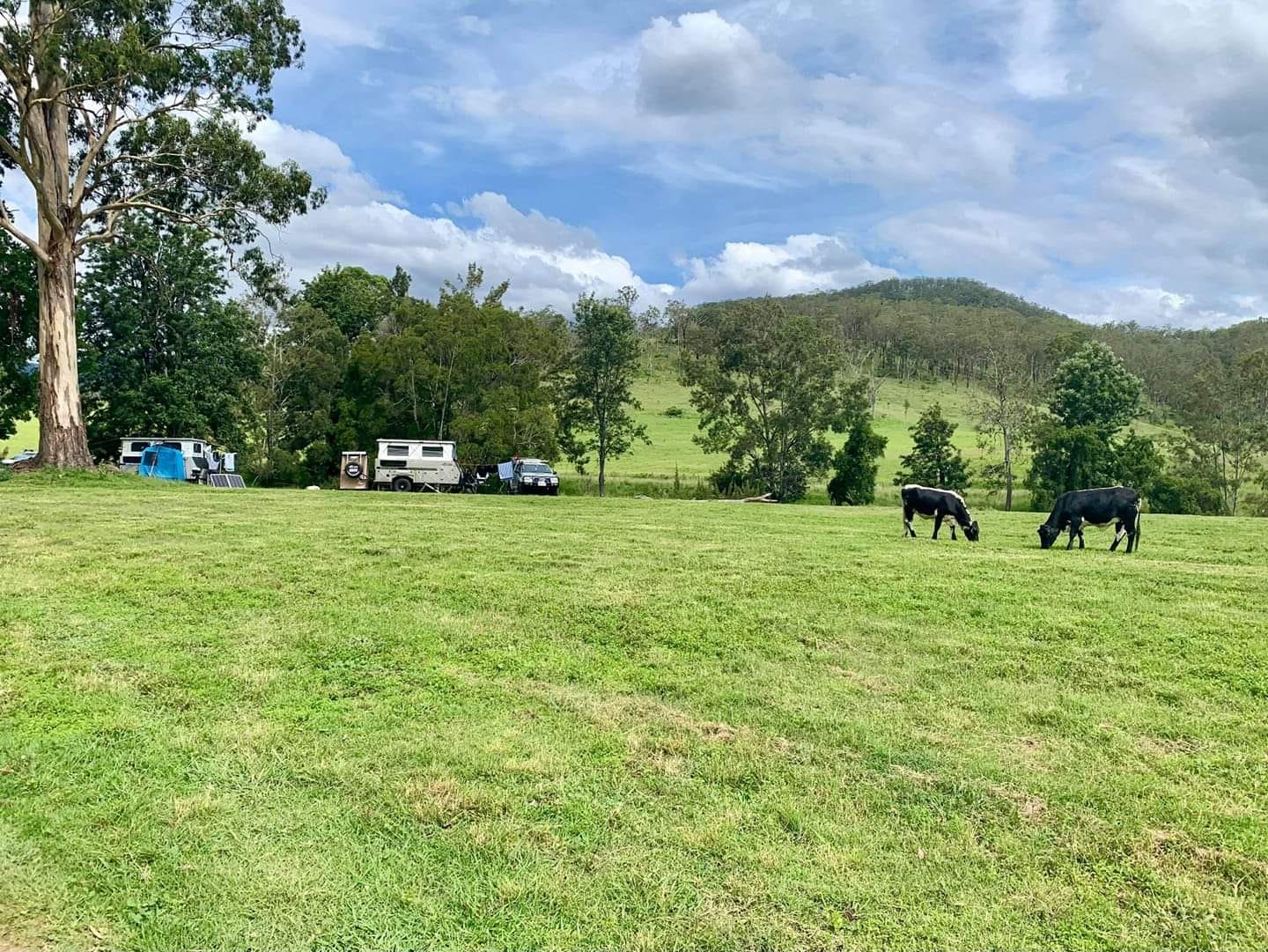 Ladybrook Farmstay, Scenic Rim, QLD - Camps Australia Wide
