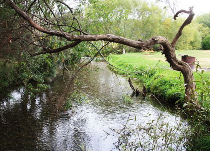 Exploring the Meander Valley, Tasmania - Camps Australia Wide