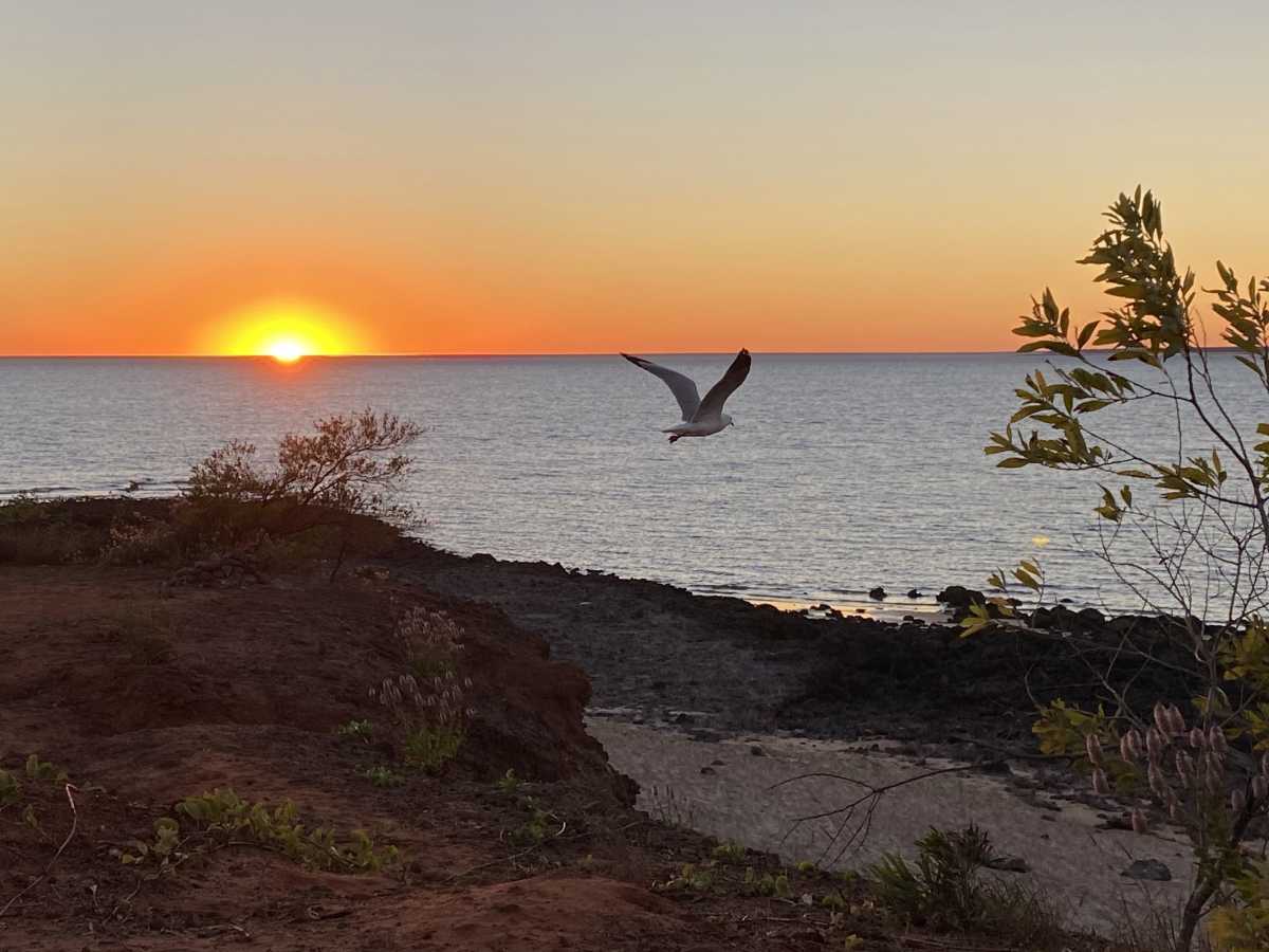 Camp with AMAZING views at Pender Bay Escape, Western Australia - Camps ...