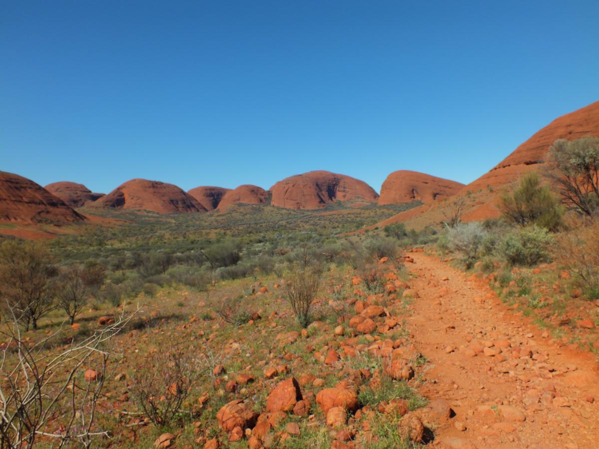 Visit the Red Centre, Northern Territory - Camps Australia Wide