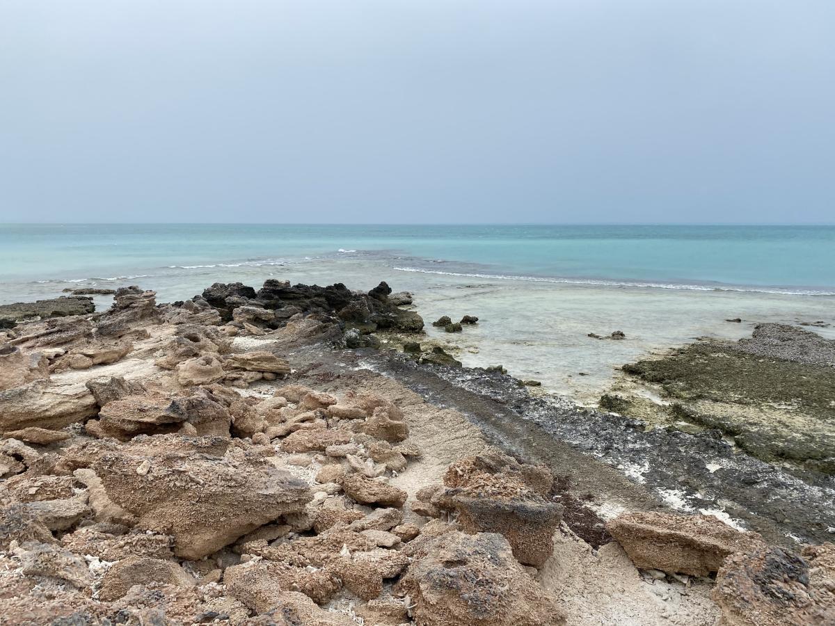 Discover Withnell Point, Dirk Hartog Island, Western Australia