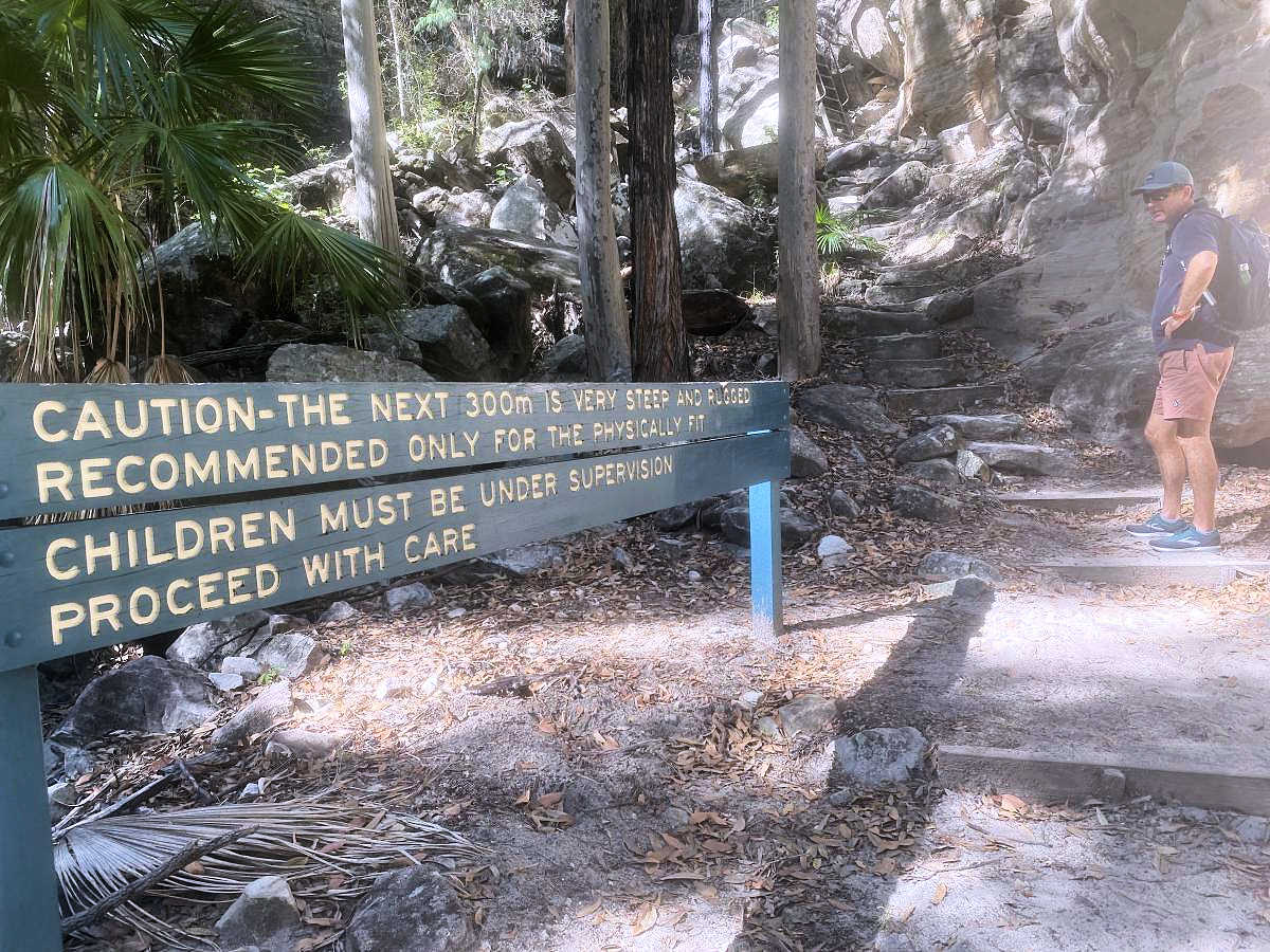 Must know tips before you hike to Boolimba Bluff, Carnarvon Gorge ...