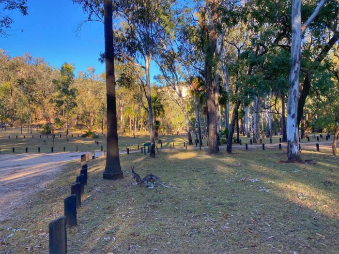 Must know tips before you hike to Boolimba Bluff, Carnarvon Gorge ...