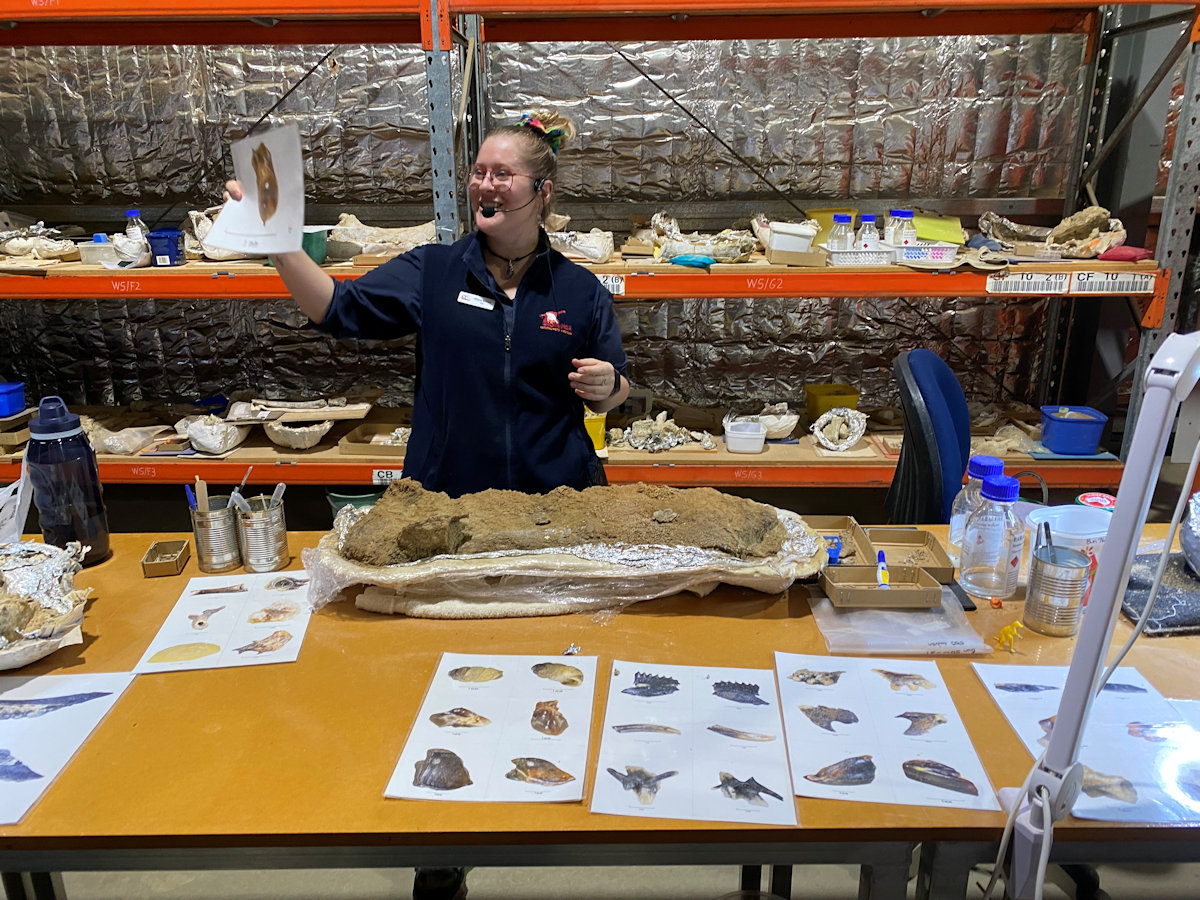 Must Do: Eromanga Natural History Museum, Queensland - Camps Australia Wide