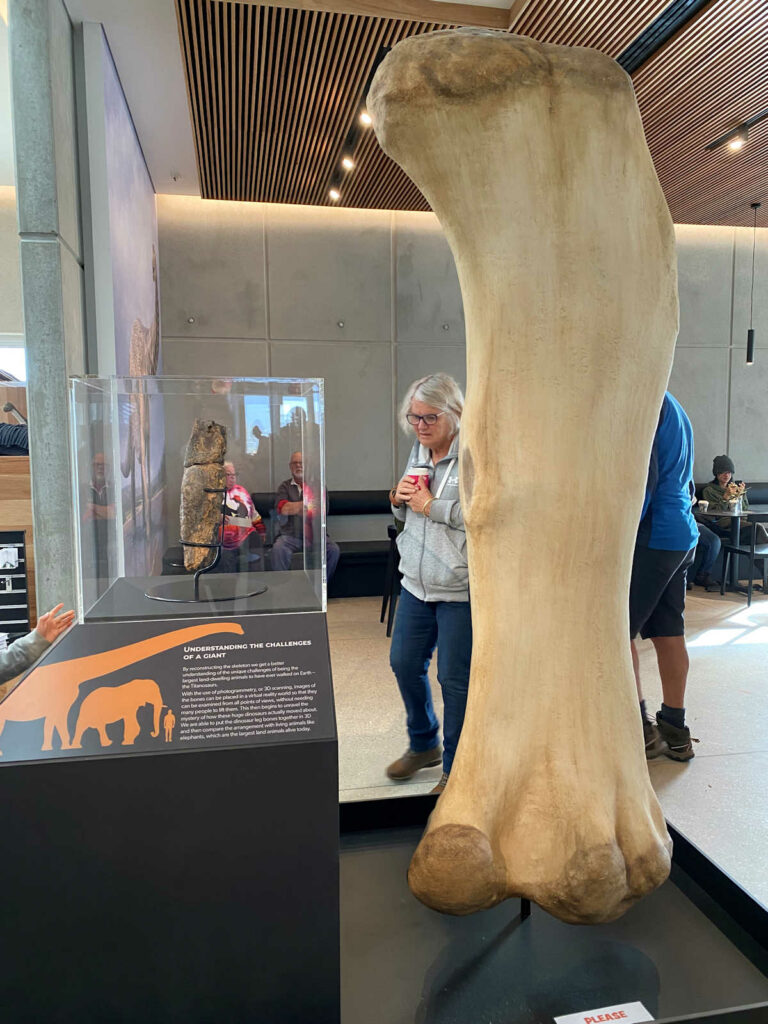 Must Do: Eromanga Natural History Museum, Queensland - Camps Australia Wide