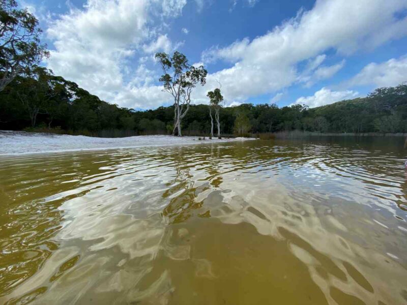 Poona Lake is a hidden wonder in Rainbow Beach, Queensland - Camps ...