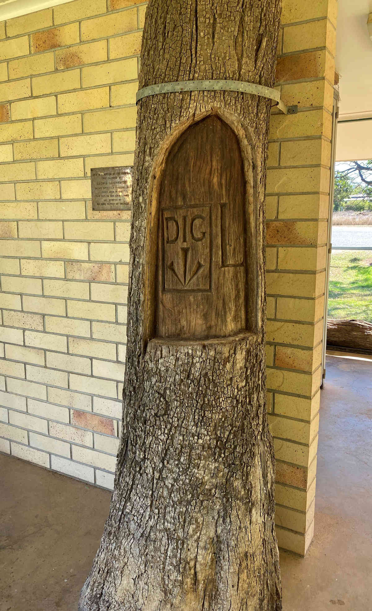 Definition: What is a Dig Tree? - Camps Australia Wide