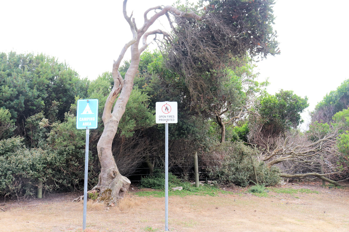 Oceanfront FREE CAMP: Green Point Beach, Marrawah, Tasmania - Camps ...