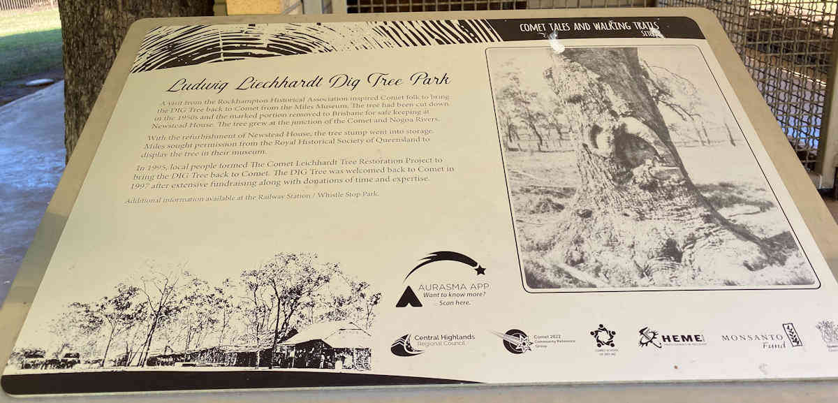 Definition: What is a Dig Tree? - Camps Australia Wide