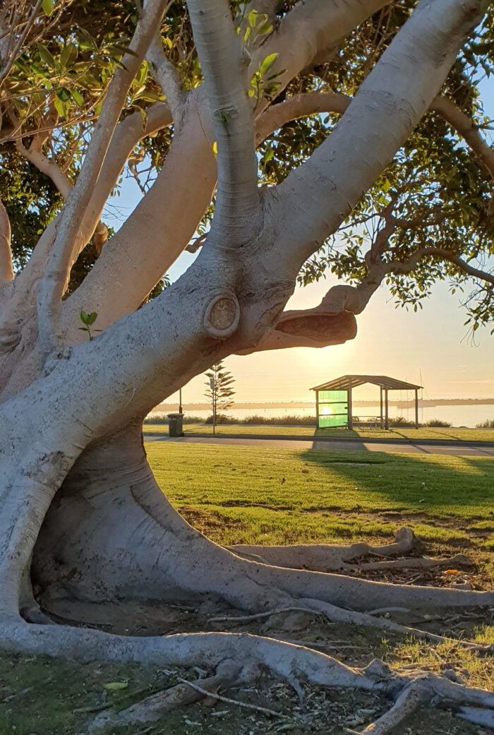 Dongara Town Oval is open on trial, Western Australia - Camps Australia ...
