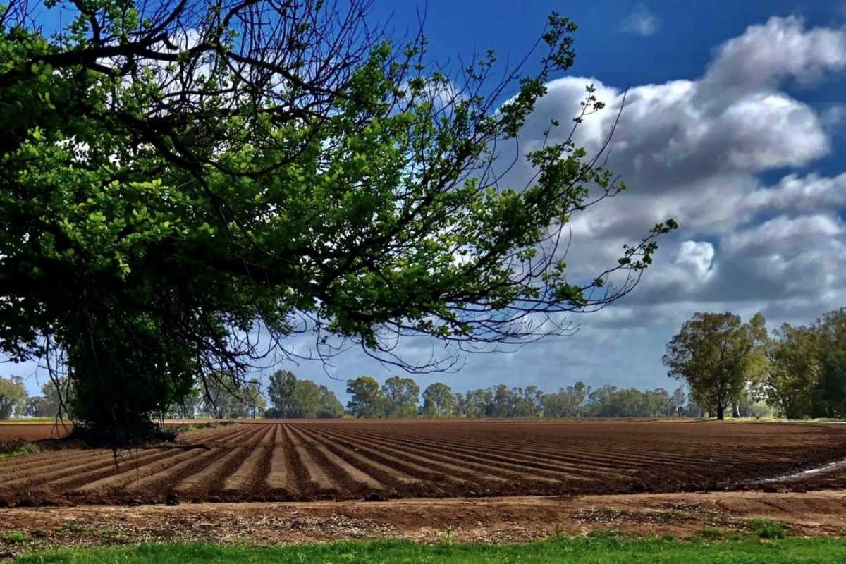 NEW listing for Kui Parks: Gogeldrie Riverside Park, New South Wales ...