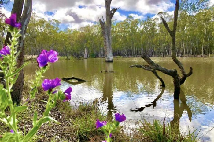 NEW listing for Kui Parks: Gogeldrie Riverside Park, New South Wales ...