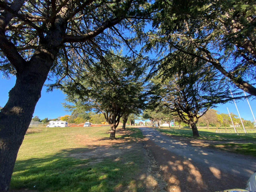 Camp at Joe O'Connor Park in RV Friendly Yass, New South Wales - Camps ...