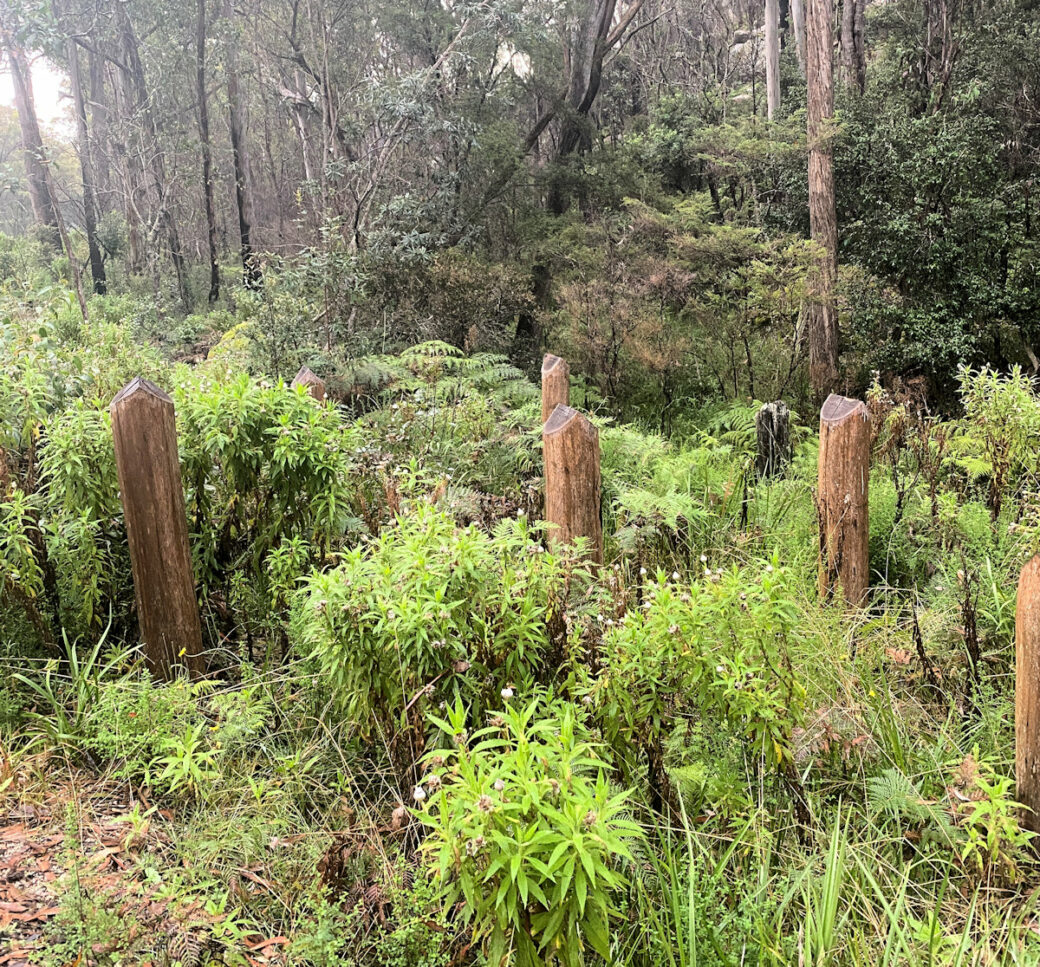 Living history: World War II Tank Traps at Thunderbolt's Gully, New ...