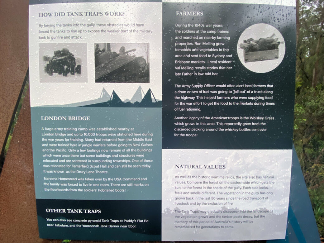 Living history: World War II Tank Traps at Thunderbolt's Gully, New ...