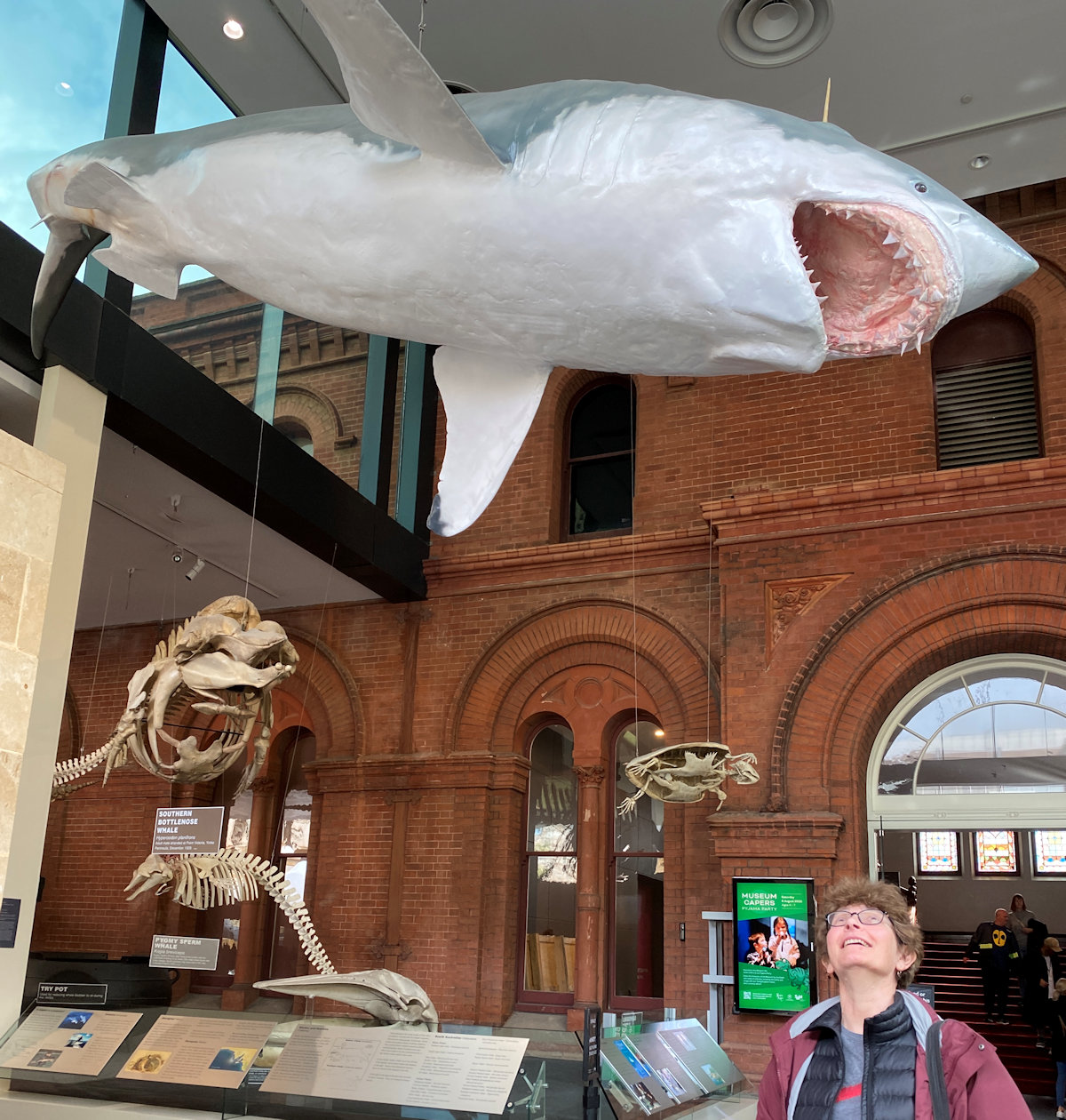 12 Must See and Dos in Adelaide, for your South Australia Bucket List ...