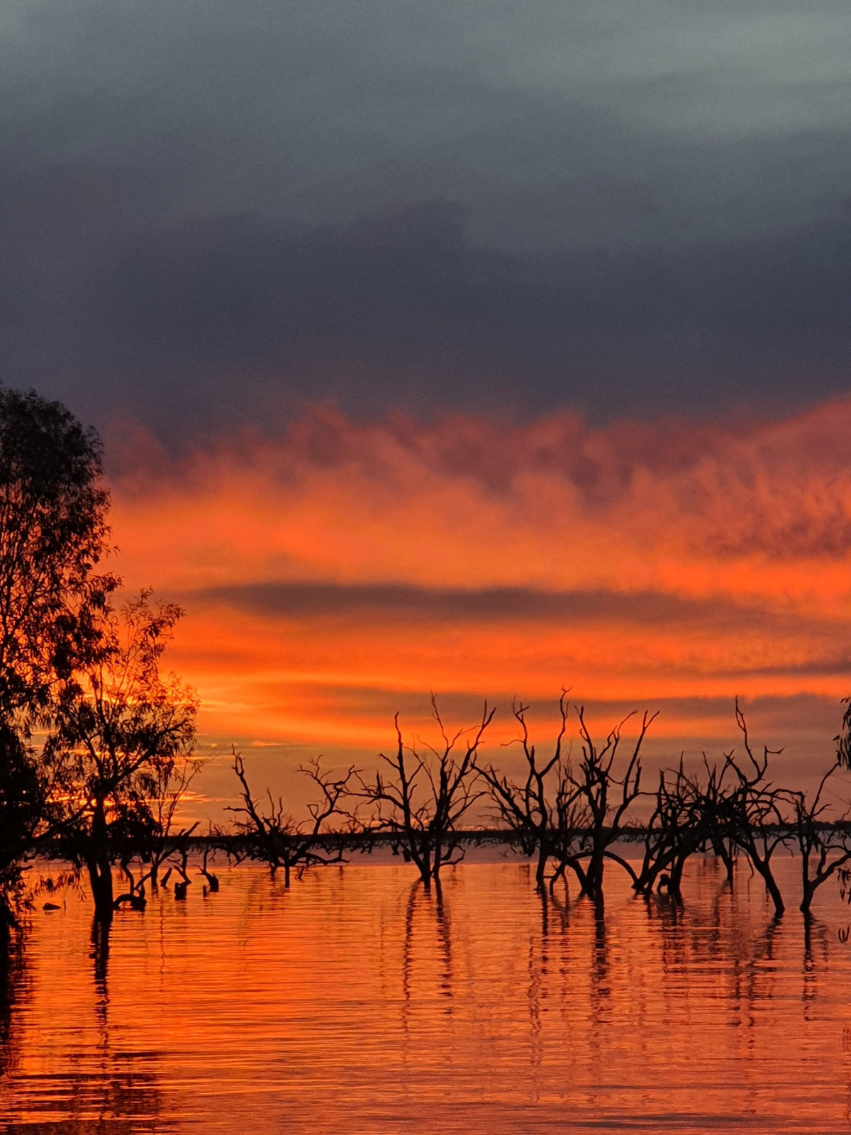 UPDATE on Menindee Lakes Caravan Park, New South Wales - Camps ...