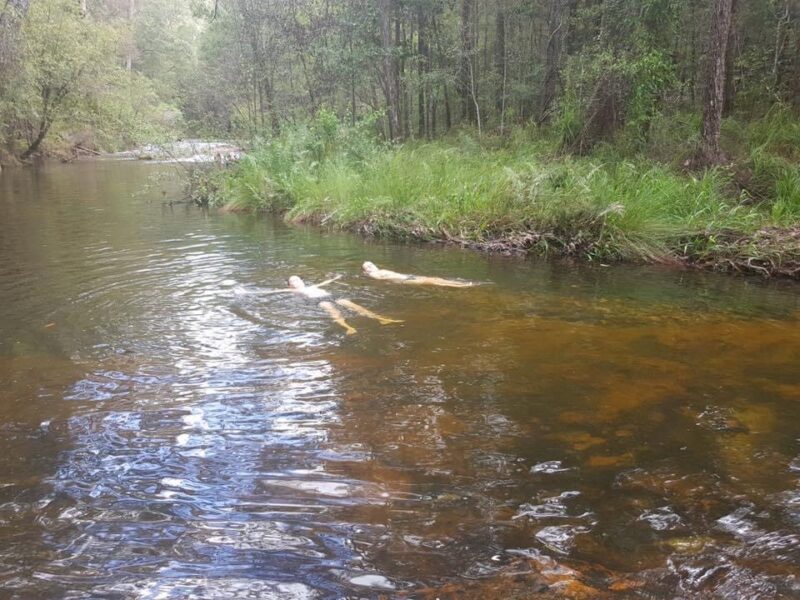 Visit Minyon Falls and Rummery Park Camping Grounds, Nightcap National ...