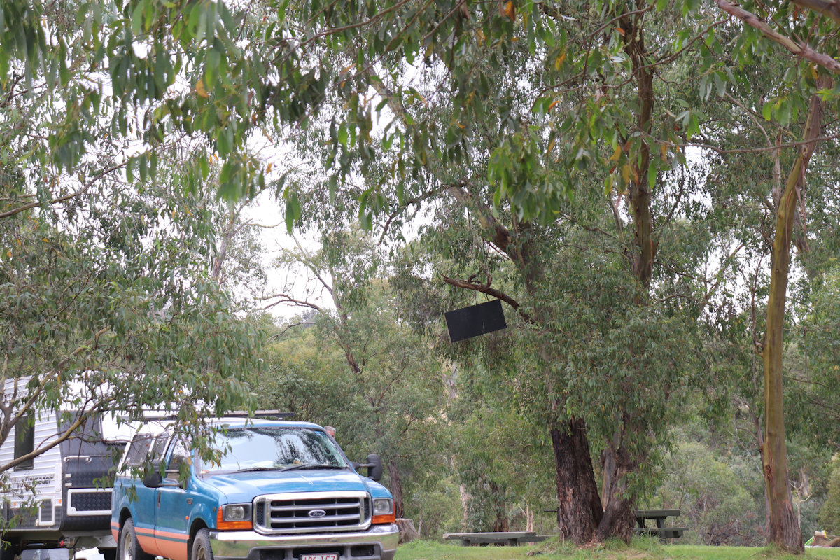 High country free camp: Victoria Falls, Victoria - Camps Australia Wide