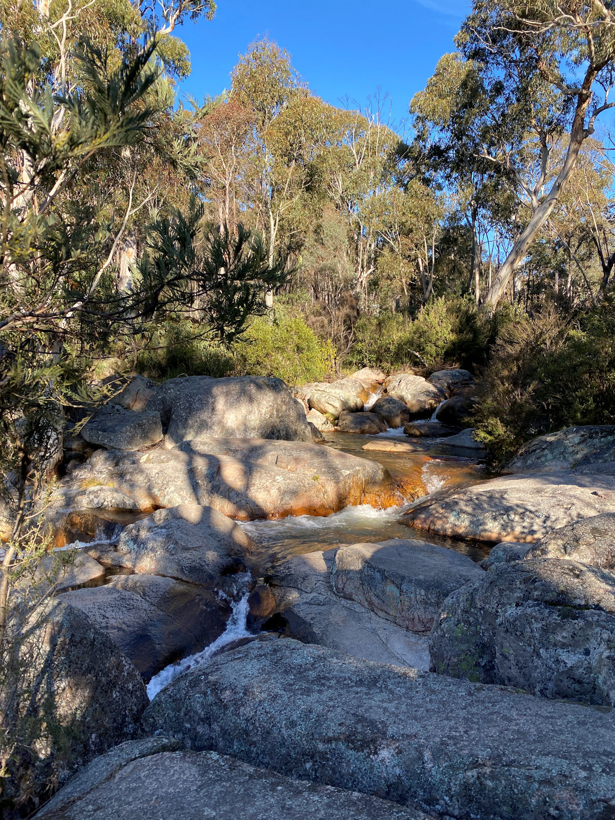 Pet friendly camp near a waterfall at Woods Reserve, Australian Capital ...