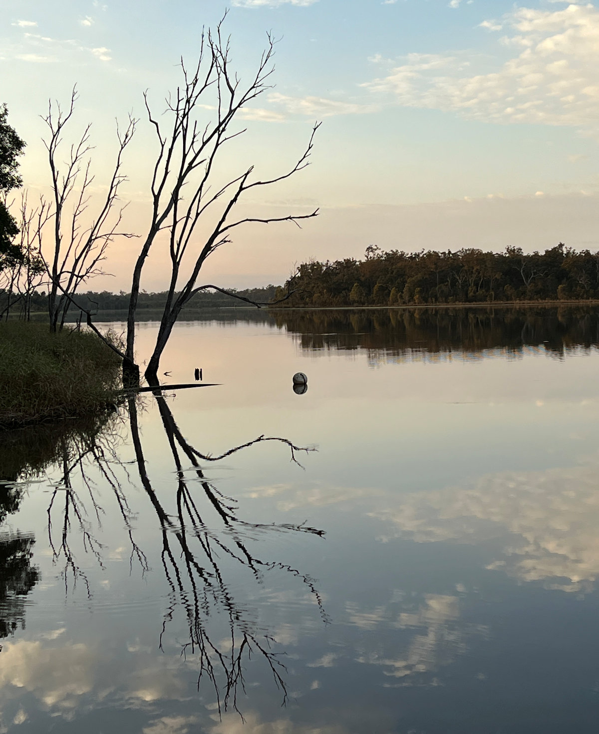 Ahh the serenity at Lake Lenthall, near Maryborough, Queensland - Camps ...