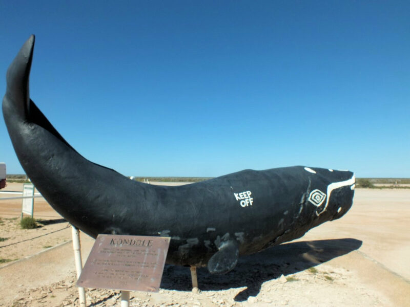 Crossing the Nullarbor - our adventure from Western Australia into ...