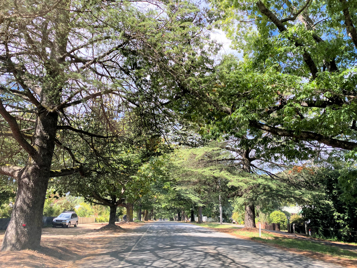 One of the prettiest places in Australia - Bright, Victoria - Camps ...