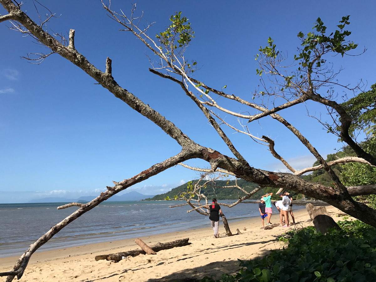 Beachfront gem on Daintree's Doorstep: Wonga Beach, Far North ...