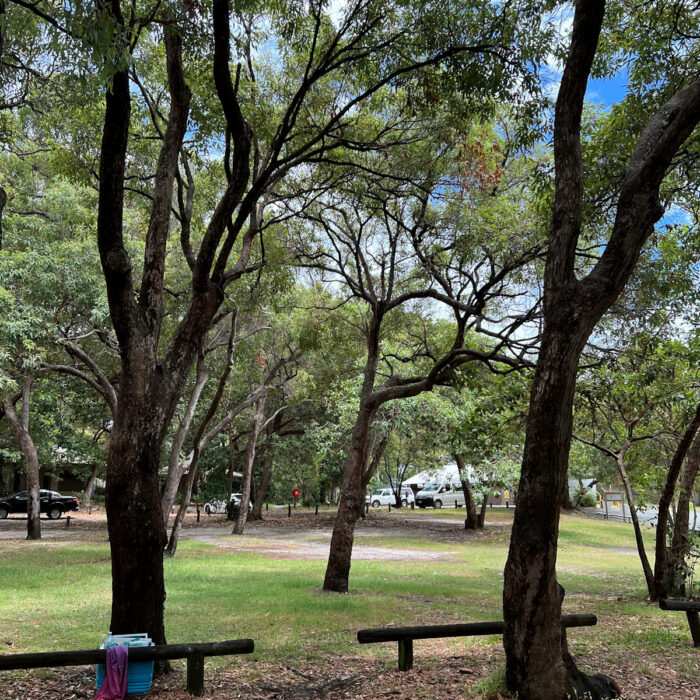 Why we love camping on Straddie, Queensland - Camps Australia Wide