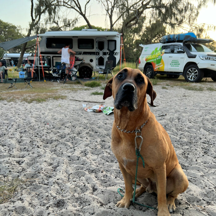 Why we love camping on Straddie, Queensland - Camps Australia Wide