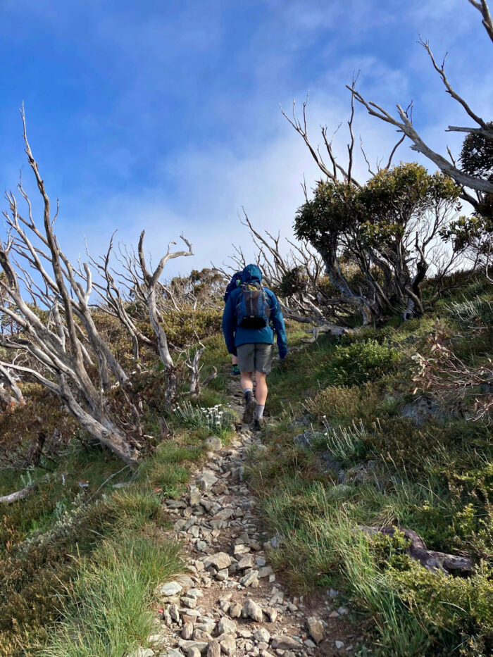 Mount Feathertop, Victoria: "one of the BEST walks in Australia"! - Camps Australia Wide