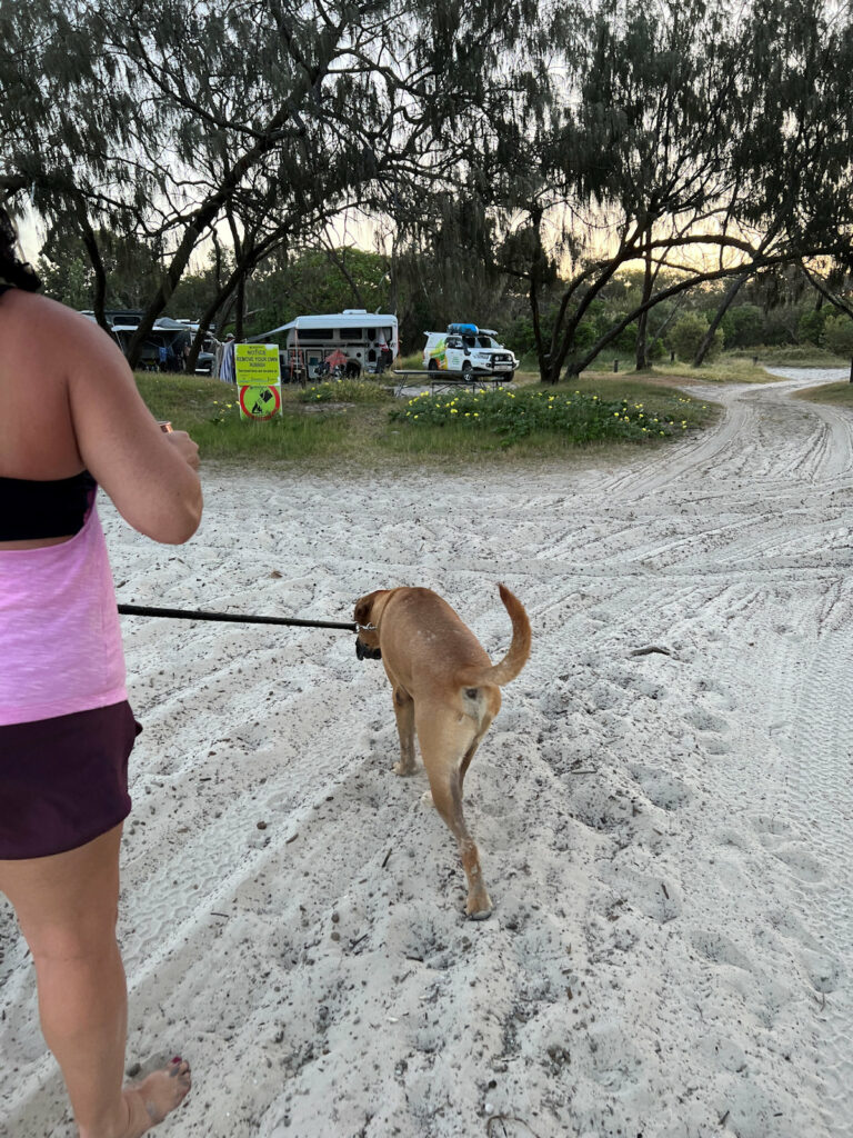 Why we love camping on Straddie, Queensland - Camps Australia Wide