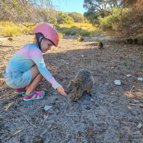 Did you know you can camp and glamp on Rottnest Island, Western ...